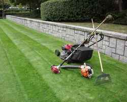 MDS Field Service